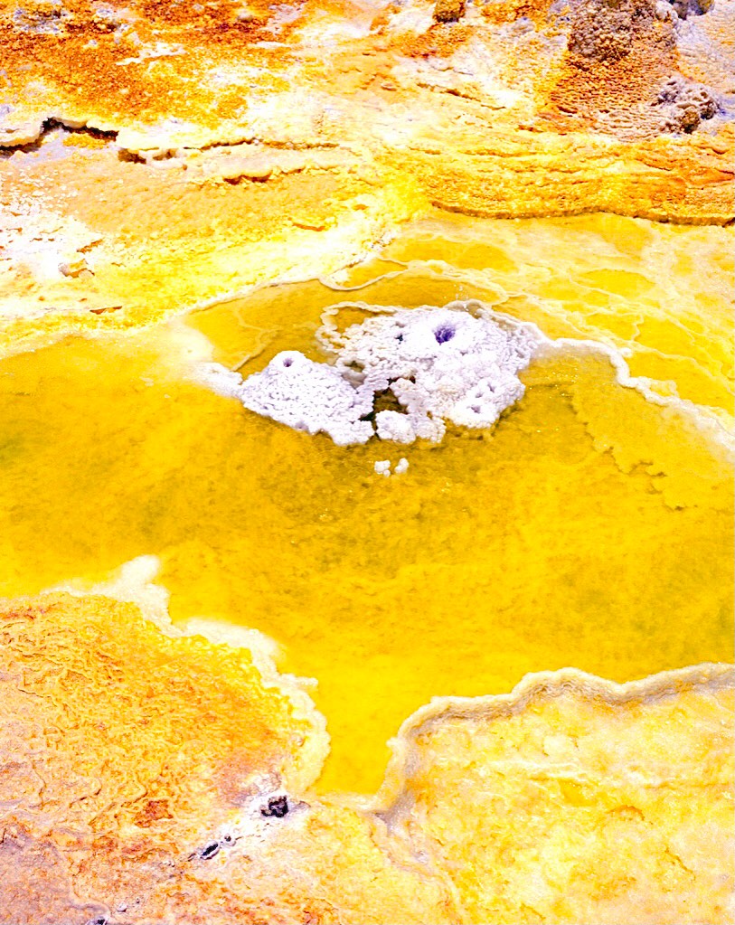 Solve Sulfuric Acid Pools, 2016, by Ruben Brulat (b.1988) jigsaw puzzle ...