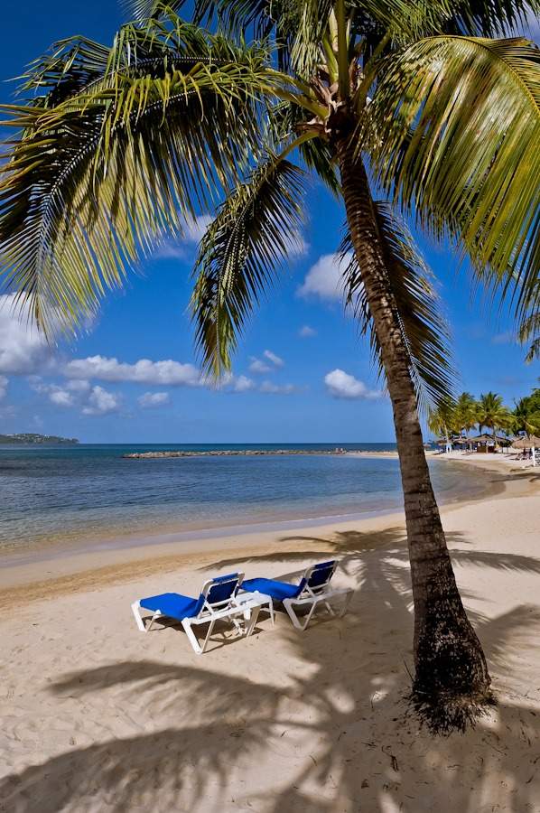 Solve Ho-hum day in Paradise jigsaw puzzle online with 70 pieces