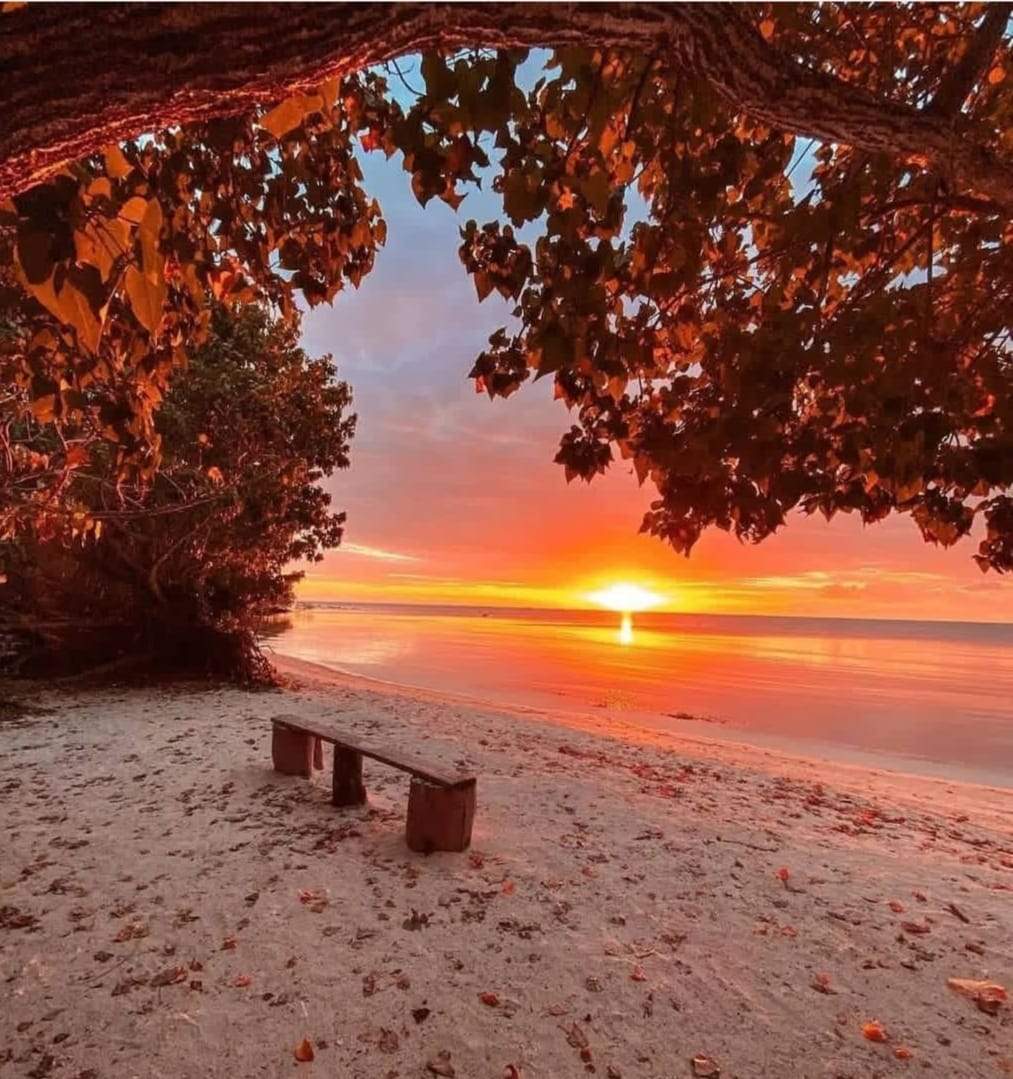 Solve Sunrise jigsaw puzzle online with 121 pieces