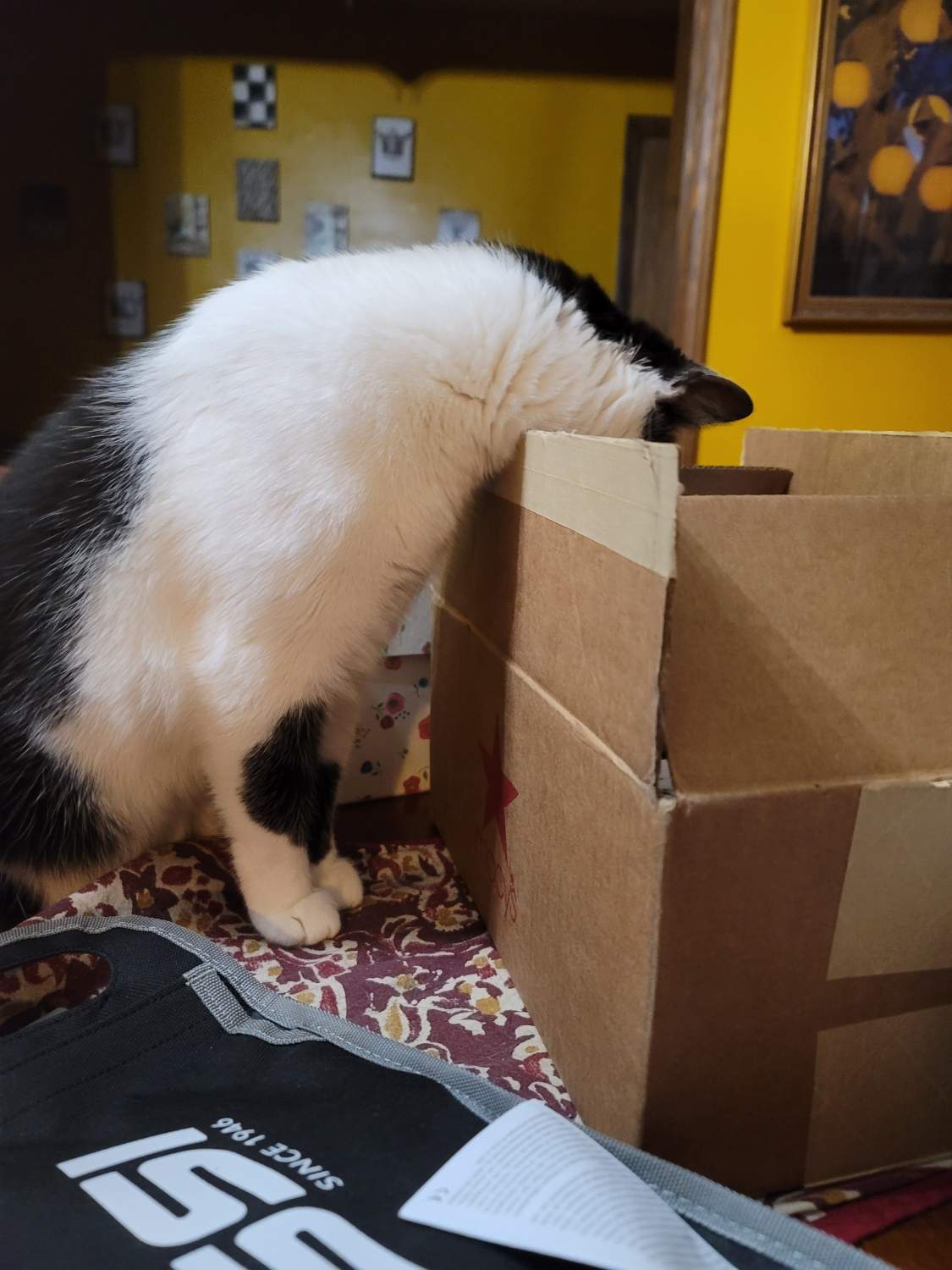 Solve Just let me see what's in this box...... jigsaw puzzle online ...