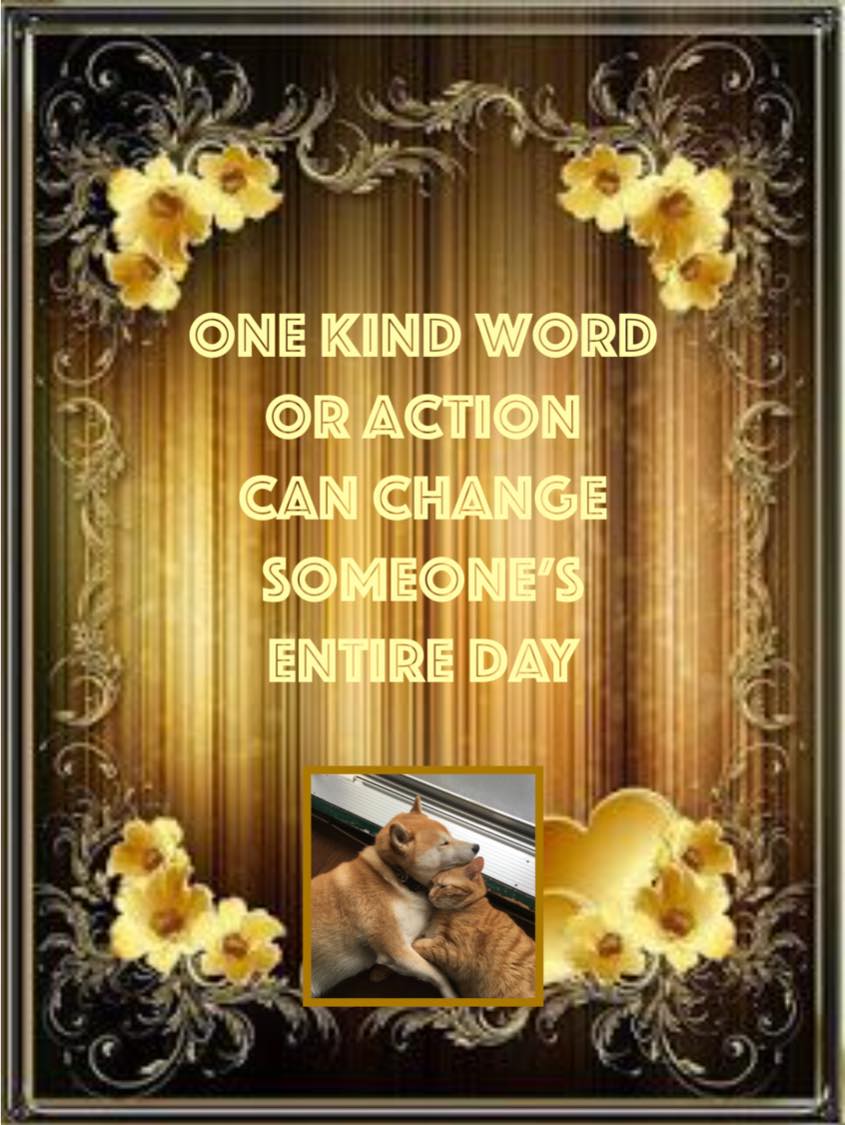 Solve Kindness jigsaw puzzle online with 48 pieces