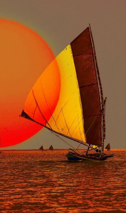 Solve A really neat composition jigsaw puzzle online with 45 pieces