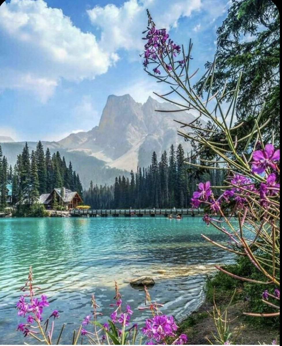 Solve 1623557097_58-oir_mobi-p-zhivopisnaya-priroda-priroda-krasivo ...