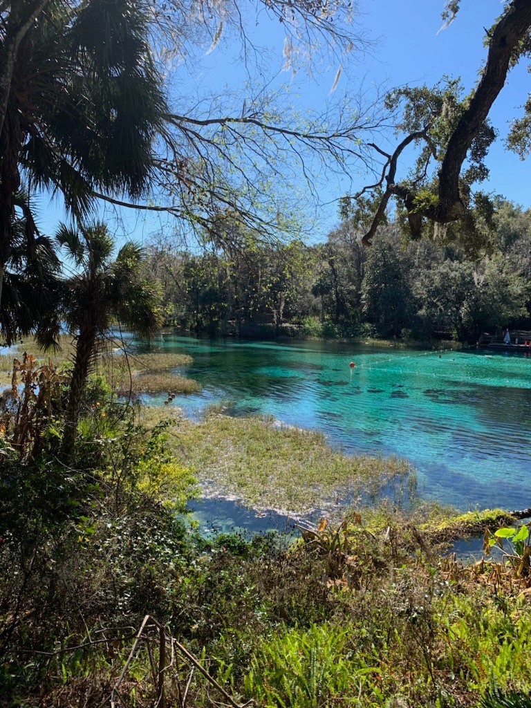 Solve Rainbow Springs jigsaw puzzle online with 238 pieces