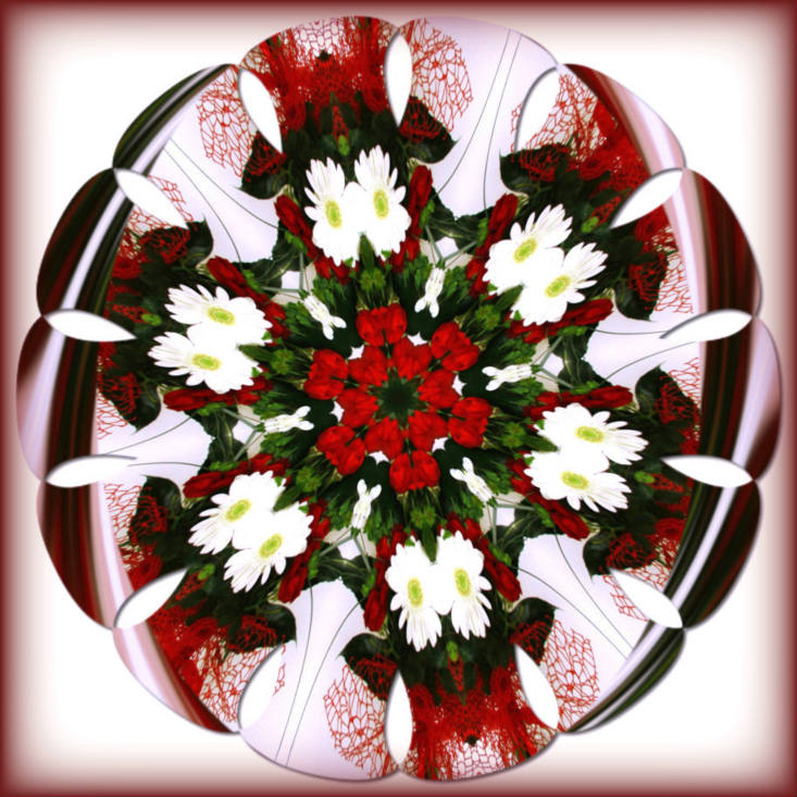 Solve Pro lyella, For lyella jigsaw puzzle online with 16 pieces