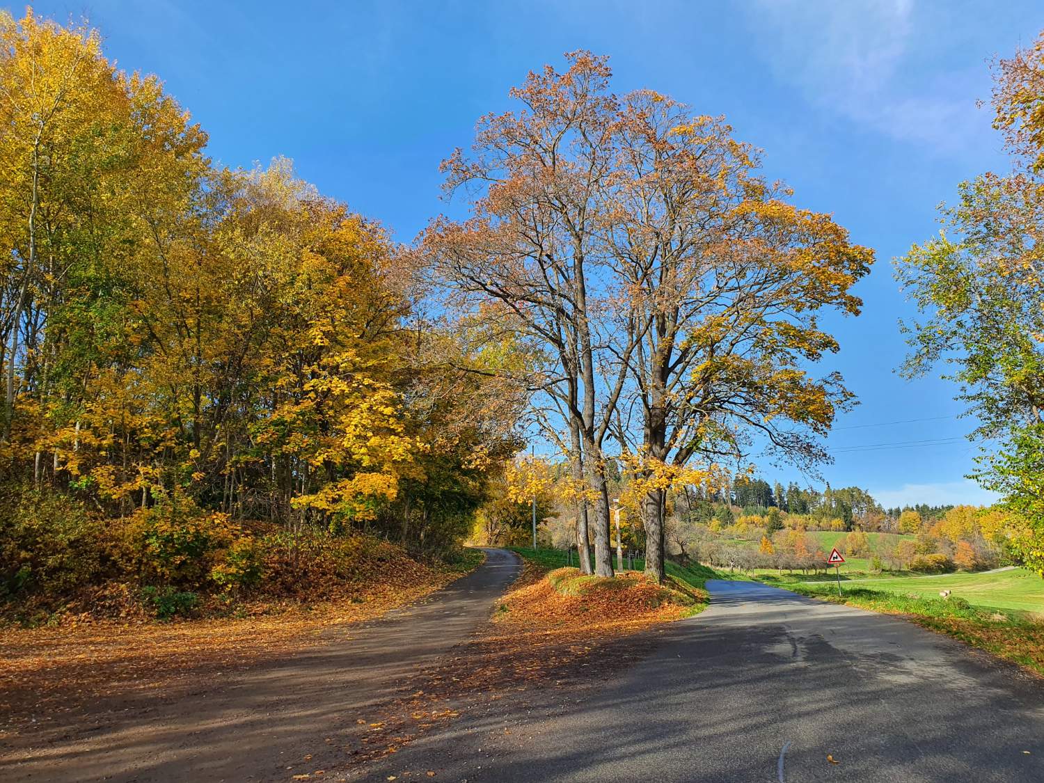 Solve Šumava na podzim jigsaw puzzle online with 63 pieces