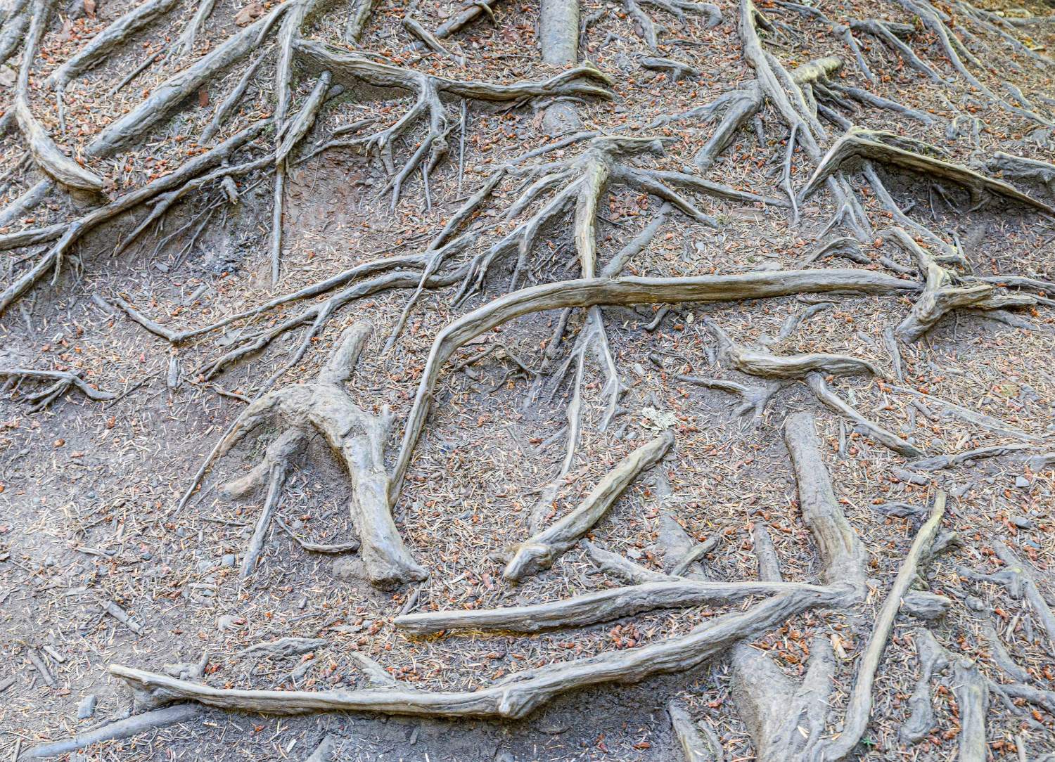 Solve A CHALLENGE PUZZLE jigsaw puzzle online with 88 pieces