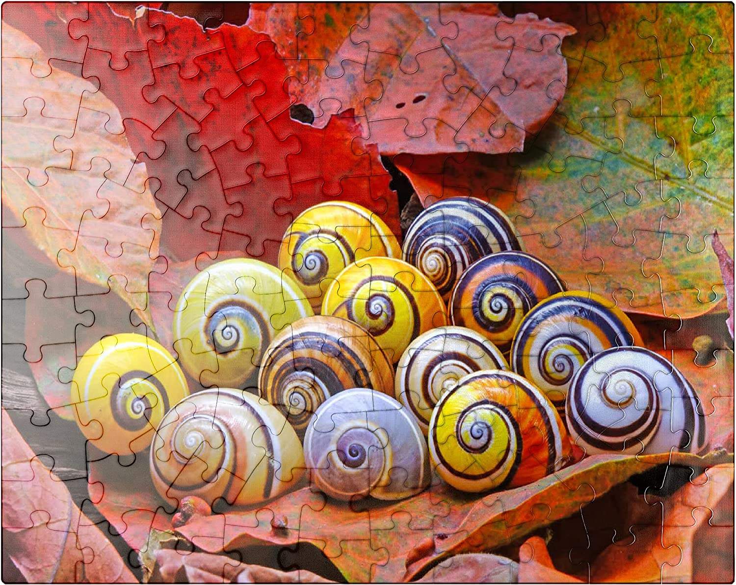 Solve Cuban Snails jigsaw puzzle online with 180 pieces