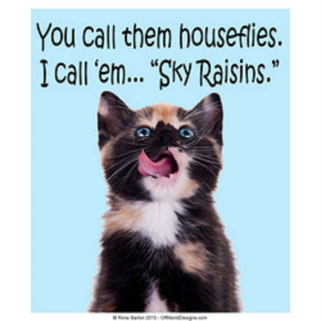 Solve Sky raisins jigsaw puzzle online with 121 pieces