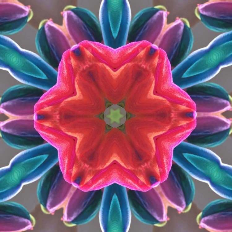 Solve Made from rainbow tulips jigsaw puzzle online with 9 pieces
