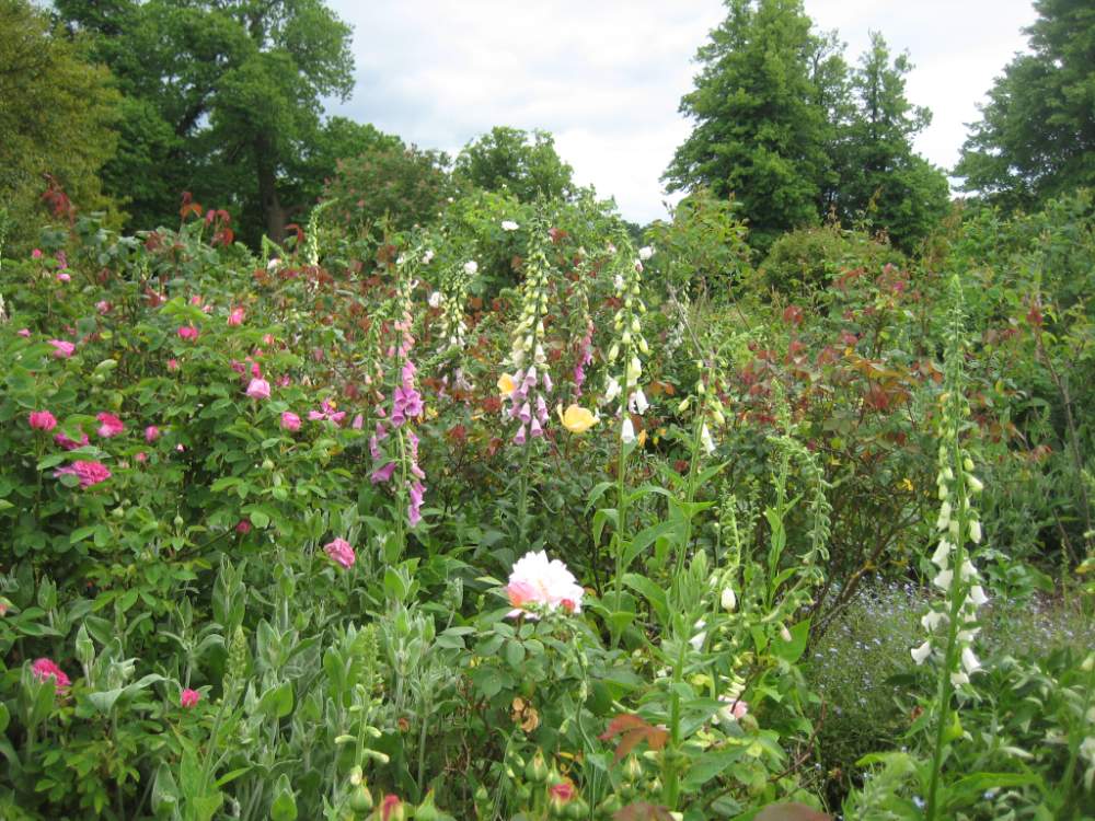 Solve Basildon Park garden jigsaw puzzle online with 12 pieces
