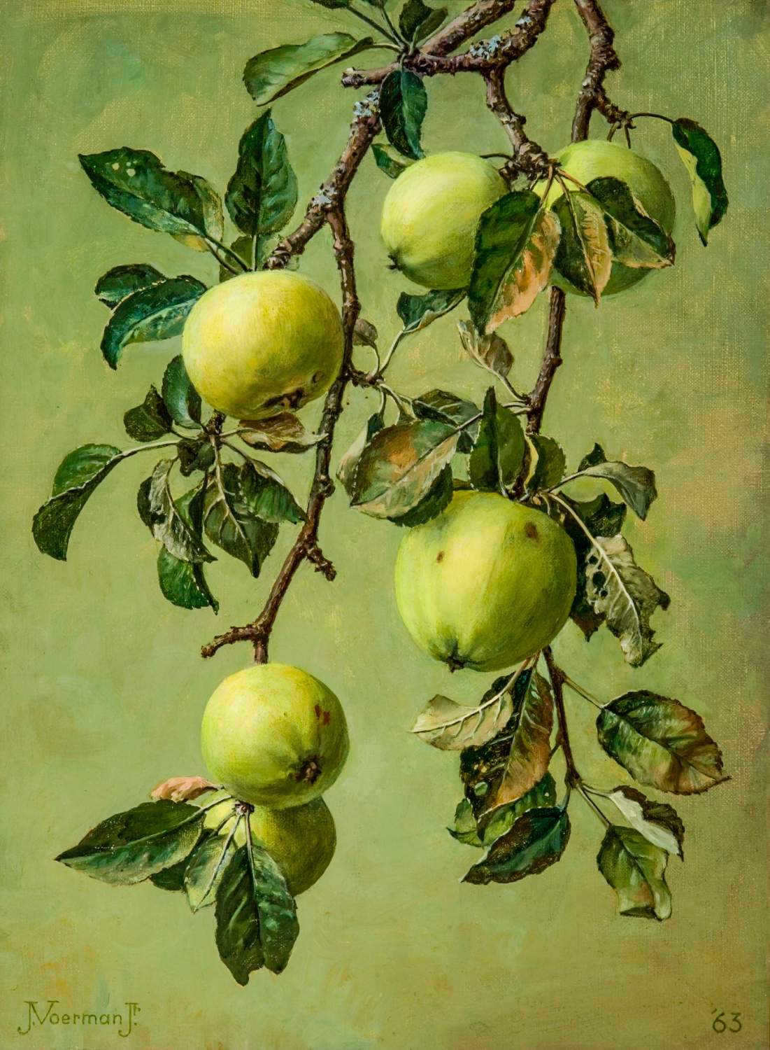 Solve Apples jigsaw puzzle online with 204 pieces