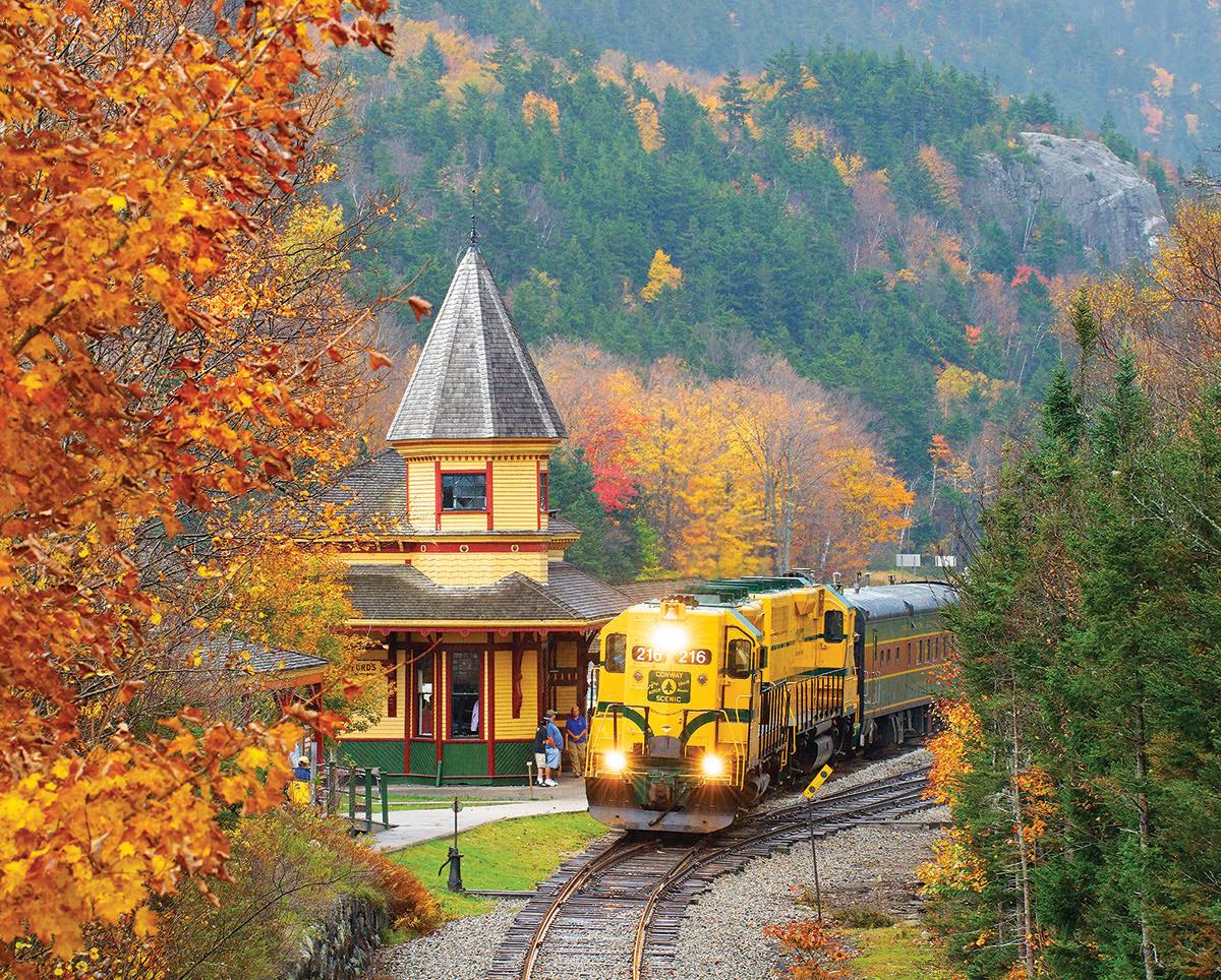 Solve SCENIC RAILROAD jigsaw puzzle online with 320 pieces