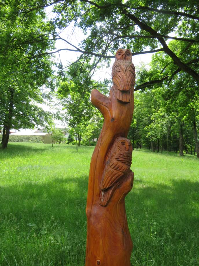 Jigsaw Puzzle | Sovy v parku | 12 pieces | Jigidi