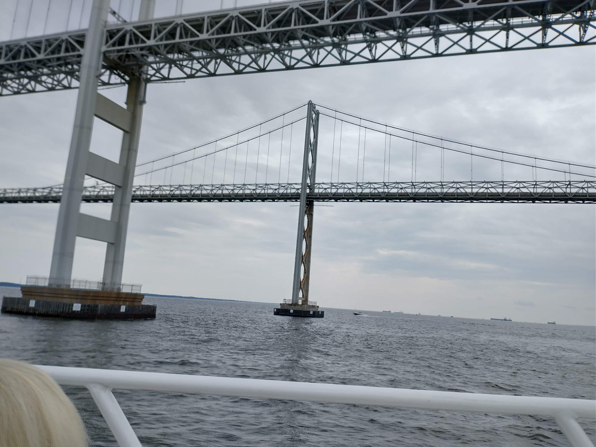 Solve Chesapeake Bay Bridges jigsaw puzzle online with 588 pieces