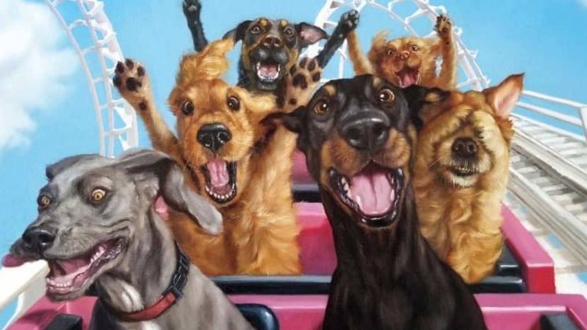 Solve Wheeeee… jigsaw puzzle online with 299 pieces