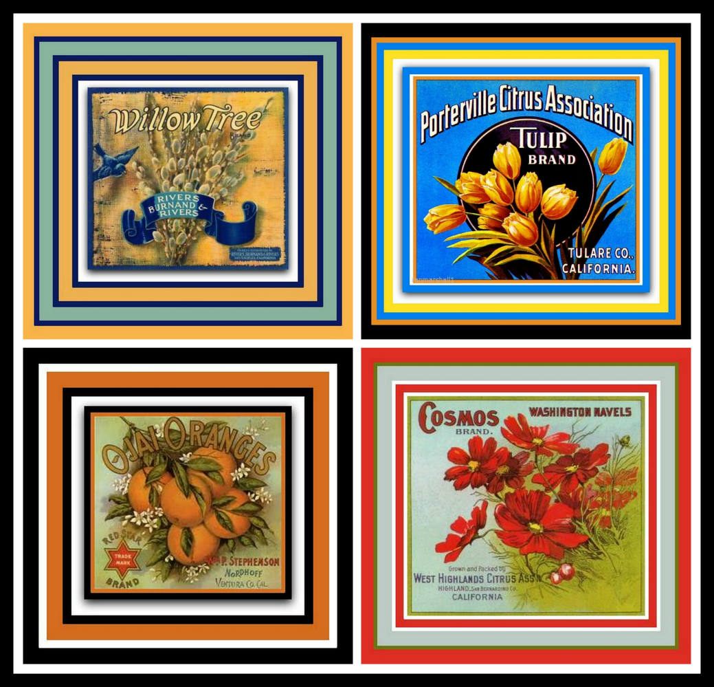 Solve More Vintage Fruit Crate Labels - All with a Floral Design jigsaw ...