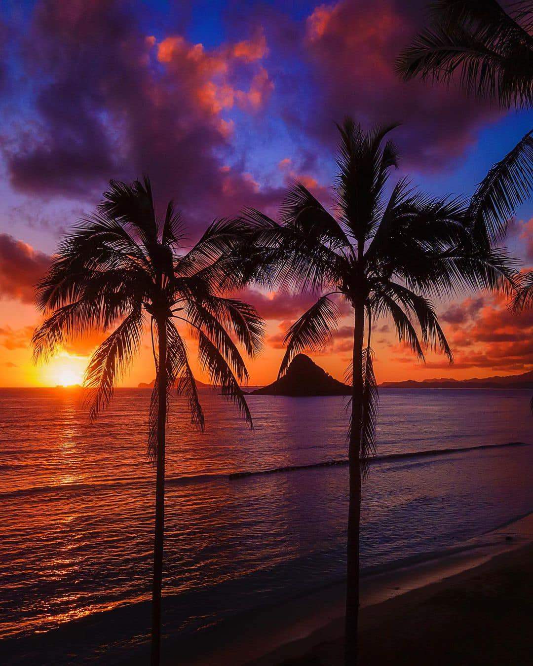 Solve ALOHA SUN jigsaw puzzle online with 208 pieces