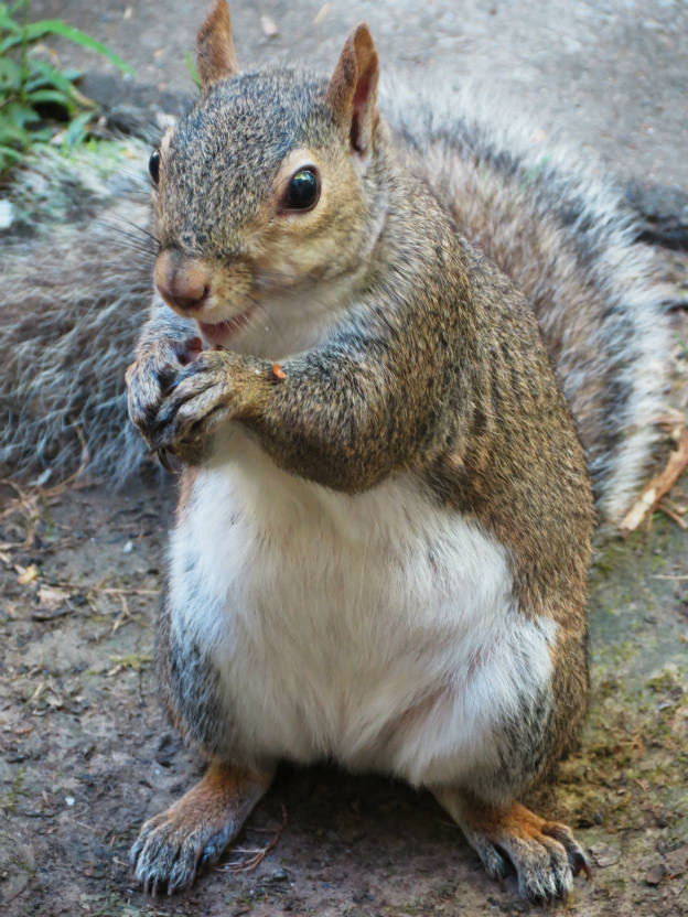 Solve Snooker is Asking for Trouble! jigsaw puzzle online with 20 pieces