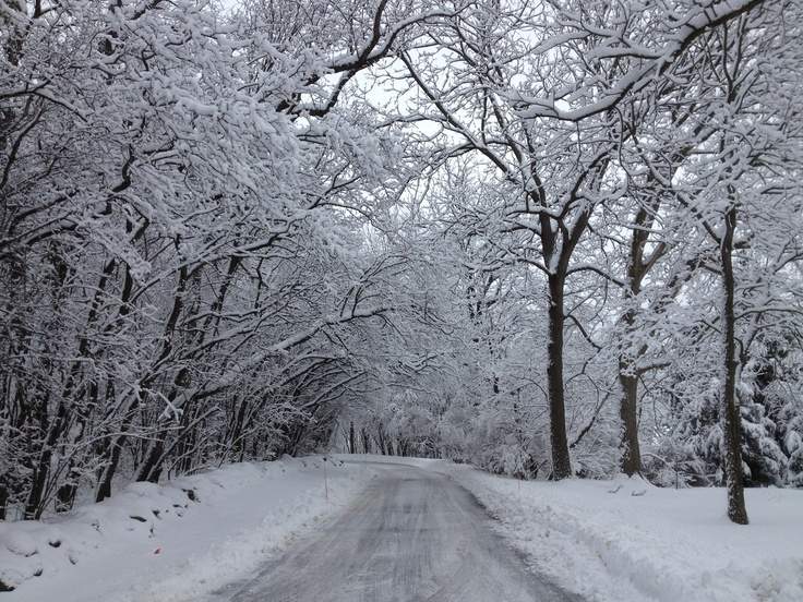 Solve Winter wonderland Wisconsin style (Jan. 2017) jigsaw puzzle ...