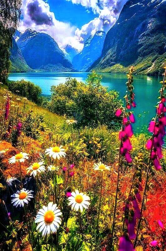 Solve Landscape jigsaw puzzle online with 70 pieces