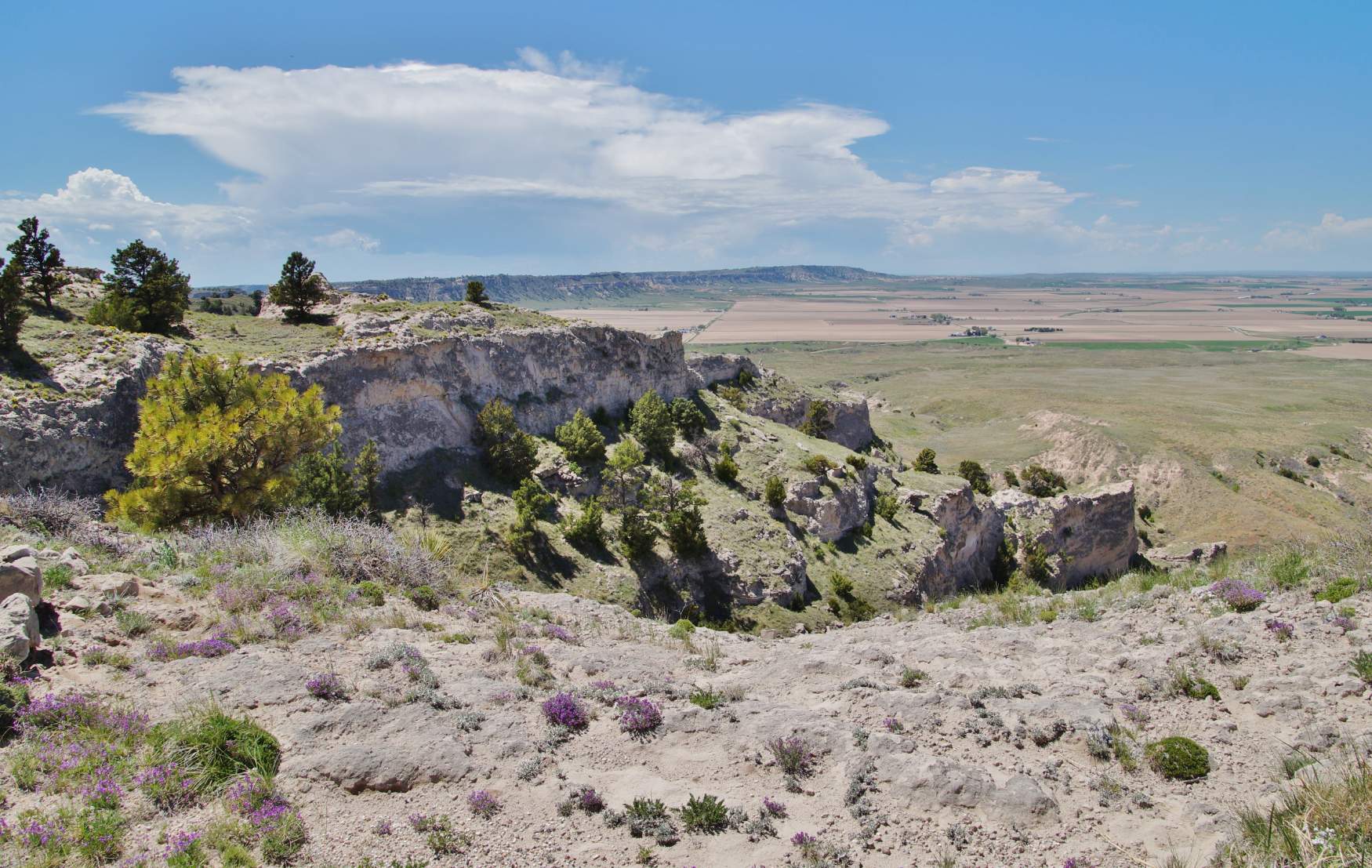 Solve Oregon or Bust! jigsaw puzzle online with 126 pieces