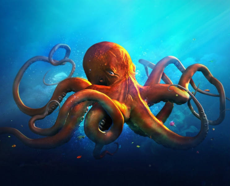 Solve Octopus jigsaw puzzle online with 12 pieces