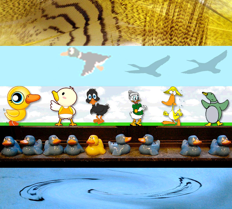 Solve more ducks jigsaw puzzle online with 90 pieces
