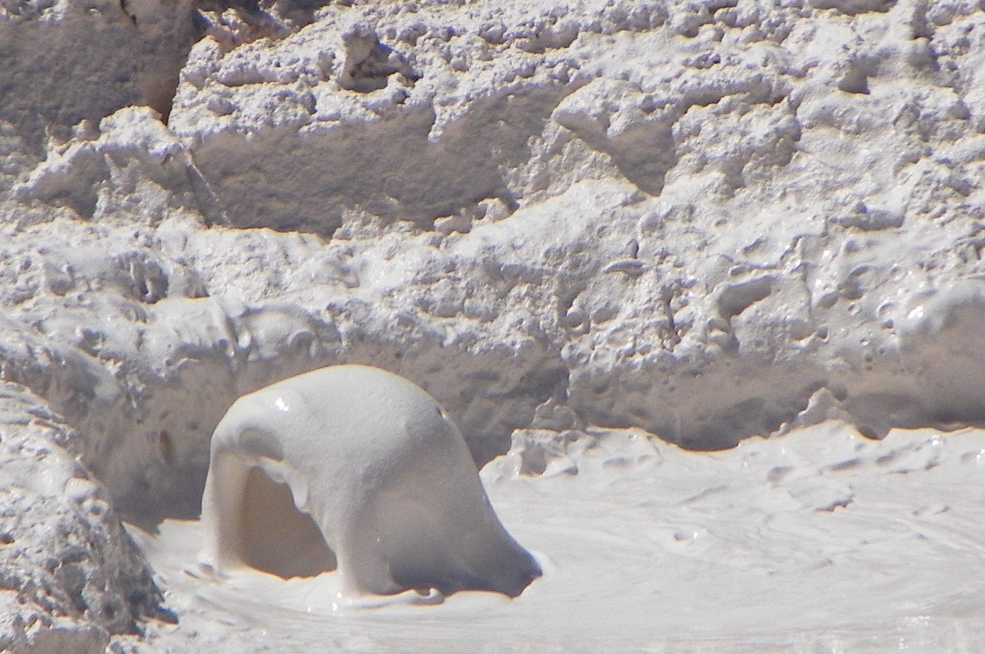 Solve Mud Pot in Action jigsaw puzzle online with 187 pieces