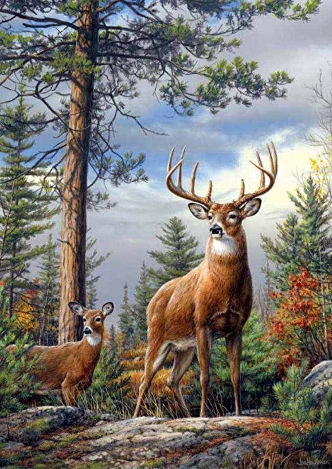 Jigsaw Puzzle | Noble Stag | 70 pieces | Jigidi