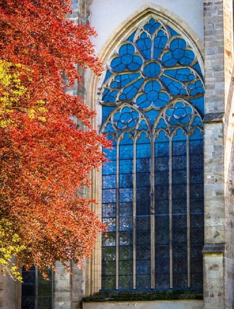 Solve "Blue Reflection" jigsaw puzzle online with 48 pieces