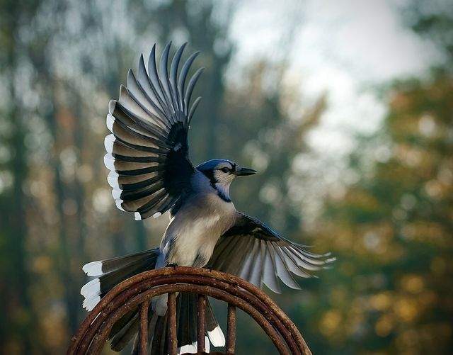 Solve LANDING POSE? jigsaw puzzle online with 35 pieces