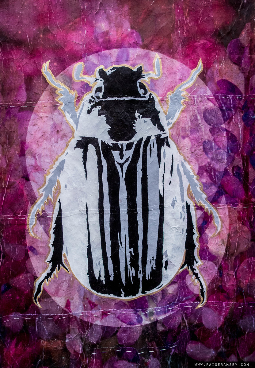 Solve Scarab Beetle jigsaw puzzle online with 247 pieces