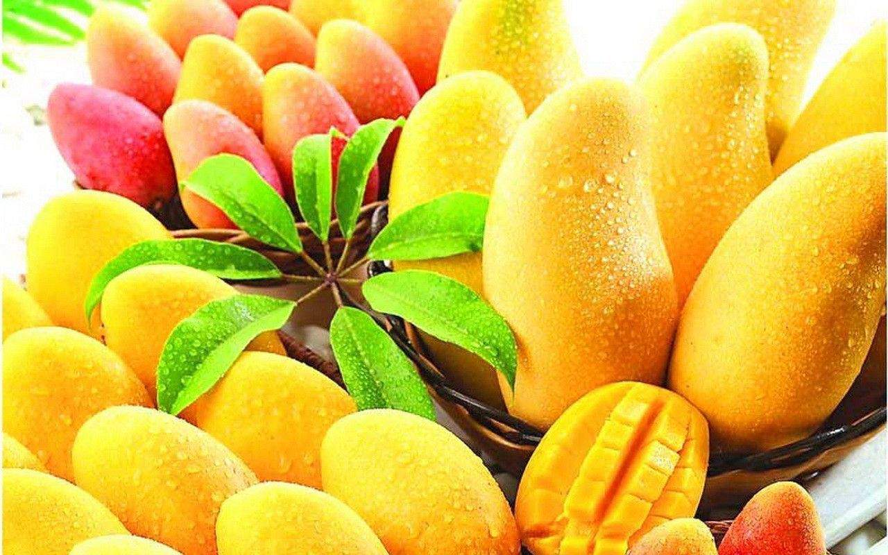 Solve MANGO jigsaw puzzle online with 96 pieces