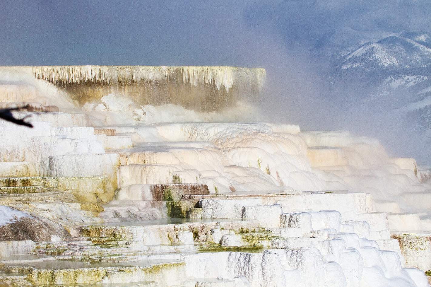 Solve Famous Yellowstone attraction known for its terrace-like cascade ...