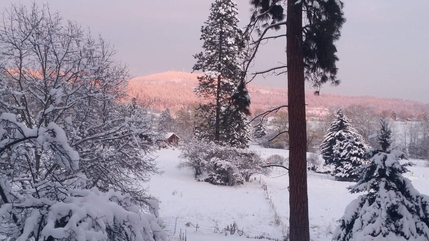 Solve Snow fall in Spokane jigsaw puzzle online with 60 pieces