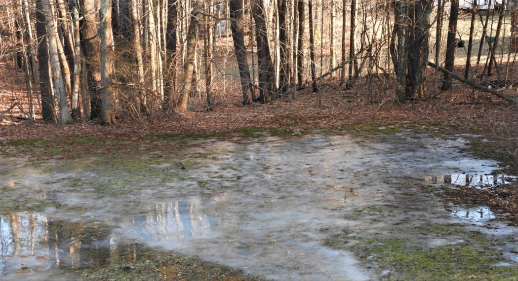 Solve EARLY SPRING THAW jigsaw puzzle online with 18 pieces