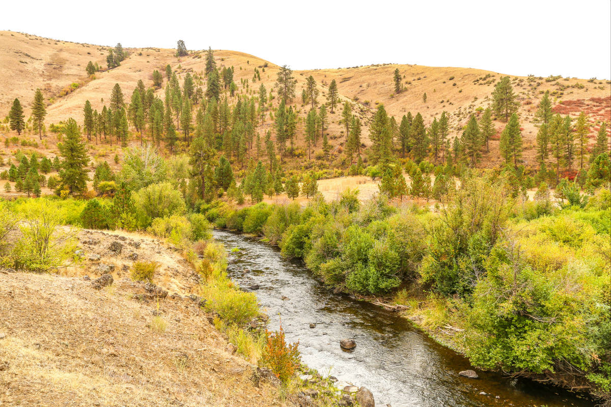 Solve EASTERN OREGON RIVER jigsaw puzzle online with 77 pieces