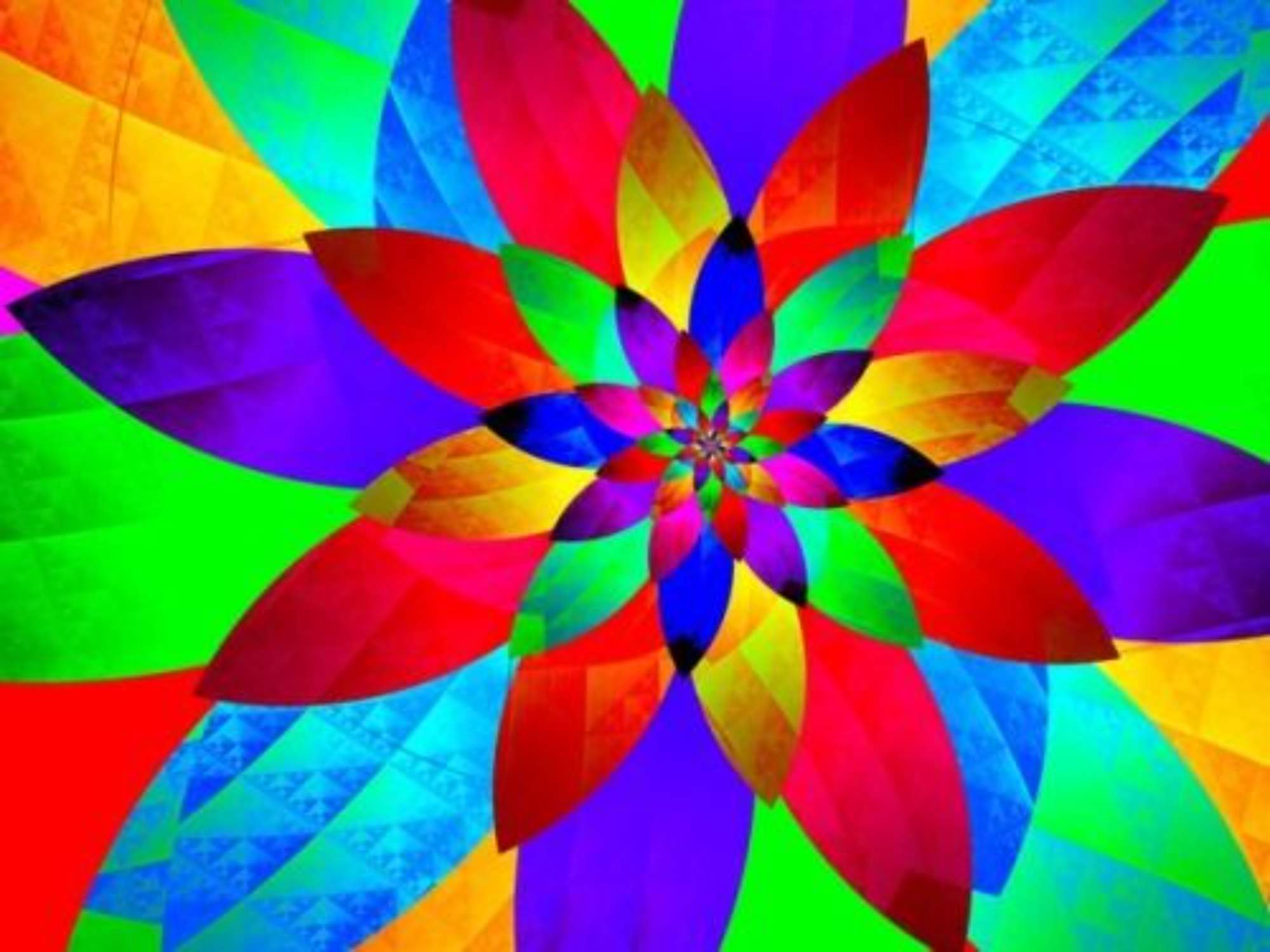 Solve colors jigsaw puzzle online with 594 pieces