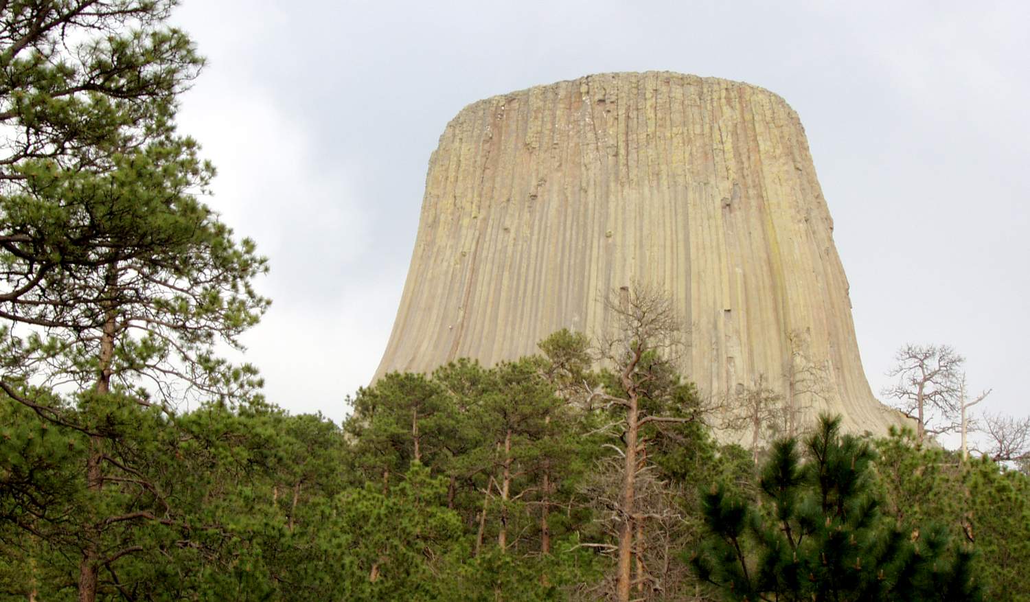 Solve Devils Tower, 2006-05-27 jigsaw puzzle online with 84 pieces