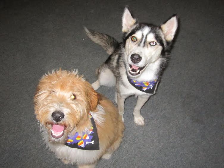 Solve AVI AND BRANDI jigsaw puzzle online with 108 pieces