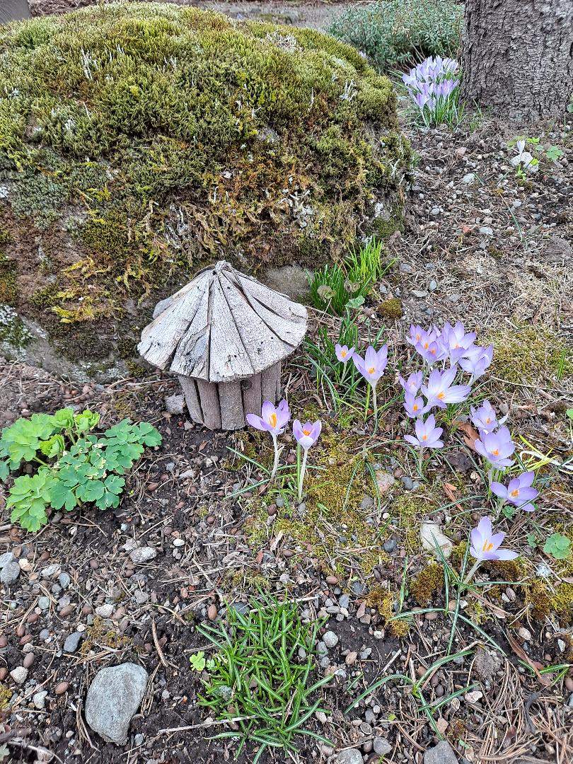 Jigsaw Puzzle | Finally spring | 99 pieces | Jigidi