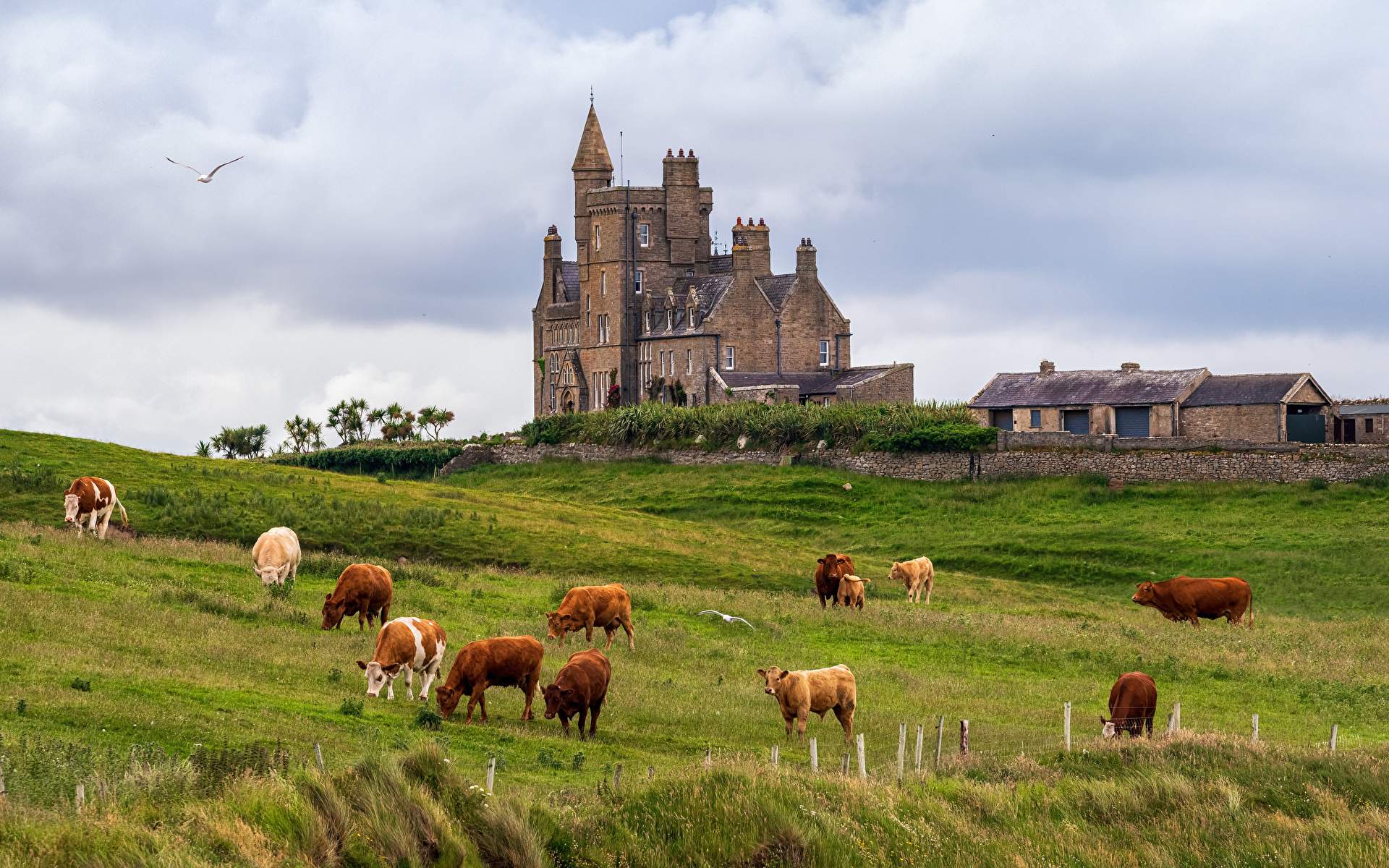 Solve Ireland_Classiebawn_Castle jigsaw puzzle online with 187 pieces