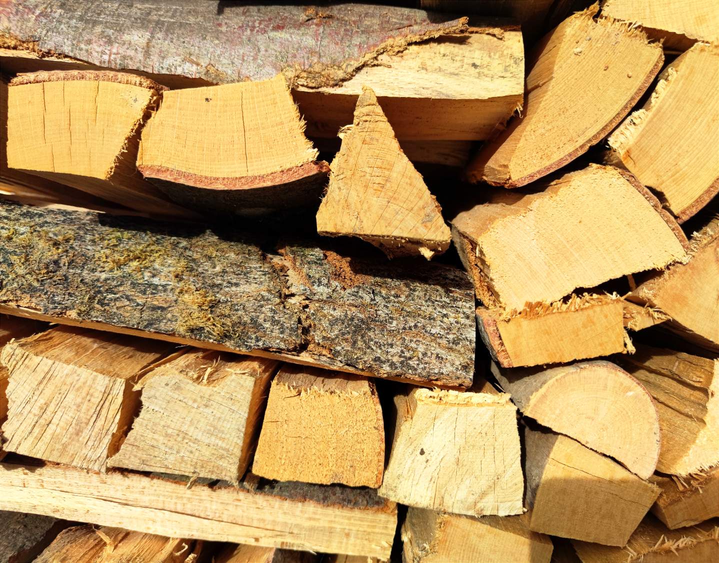 Solve Chopped Logs jigsaw puzzle online with 80 pieces