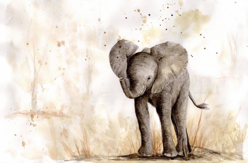 Solve Mud Bath jigsaw puzzle online with 70 pieces