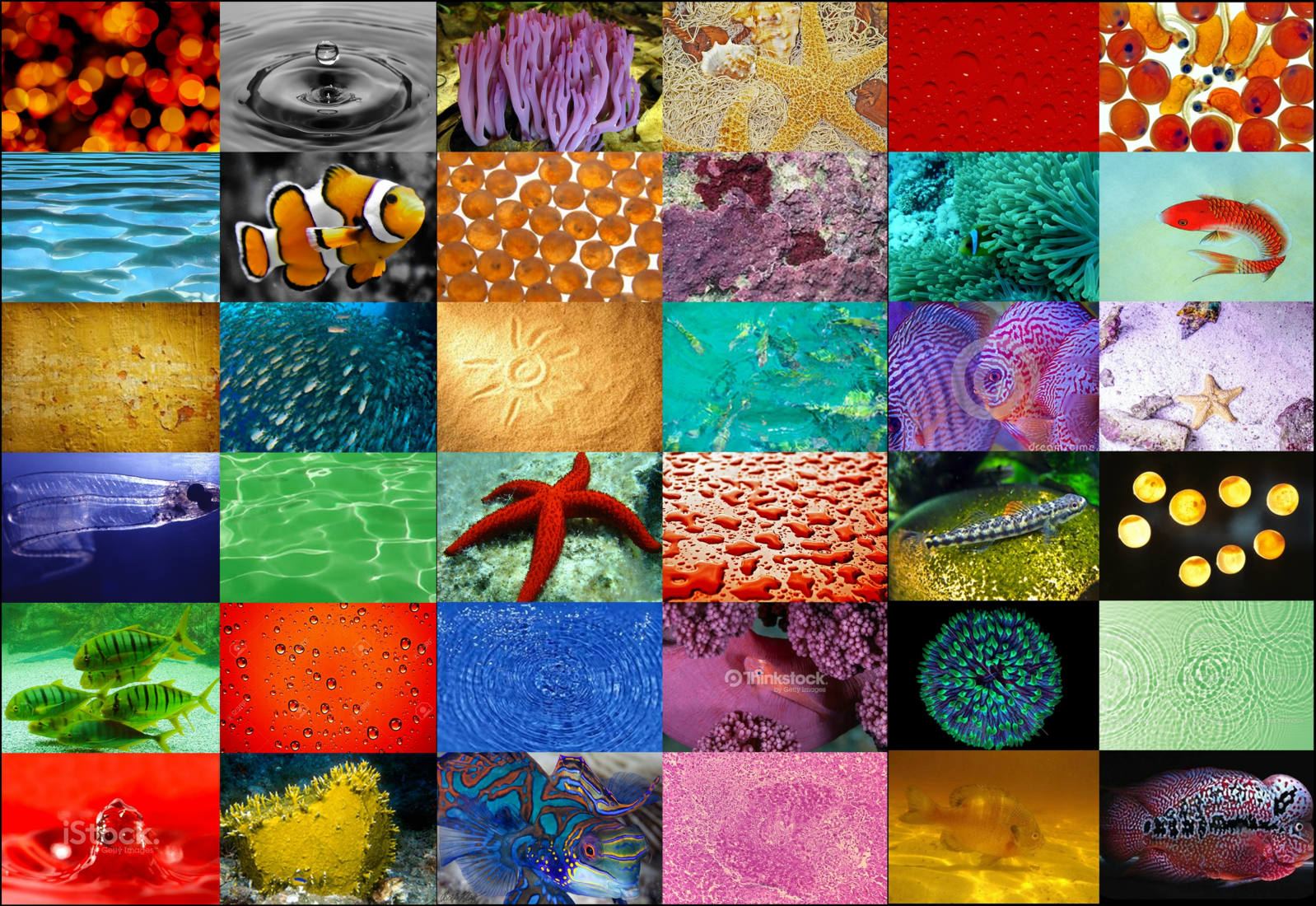 Solve Sea Creatures jigsaw puzzle online with 176 pieces