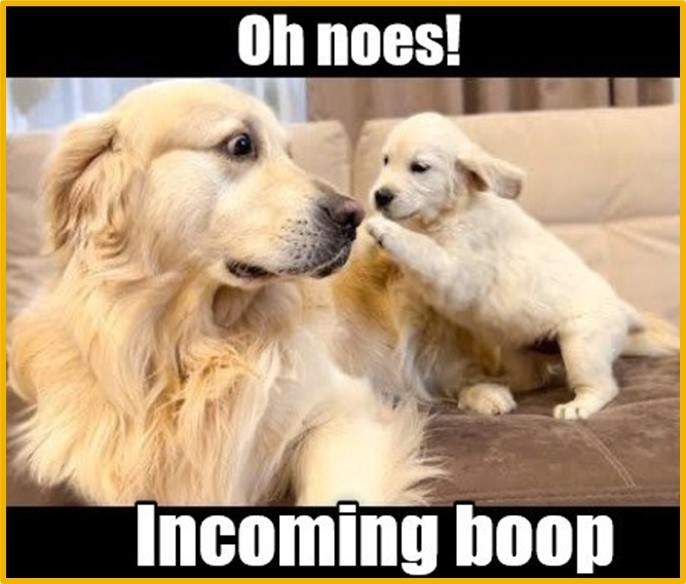 Solve Here I Come, Mom! I'm Gonna Boop You! jigsaw puzzle online with ...