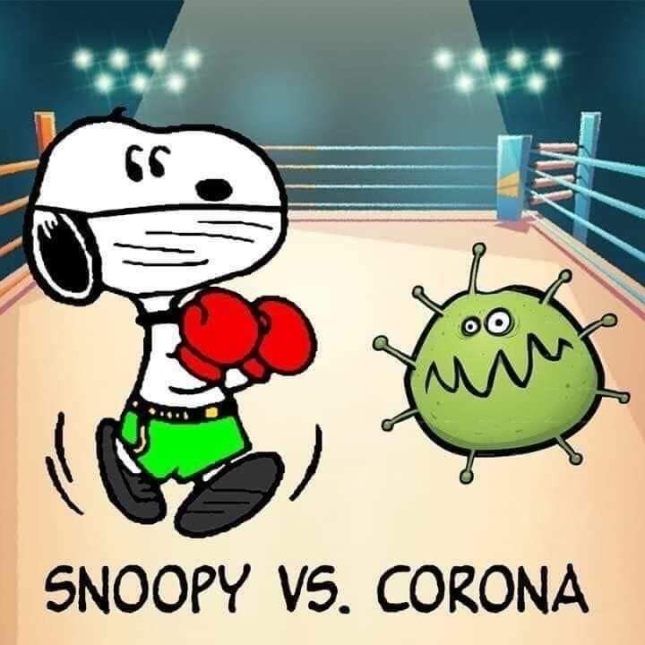 Solve Knock it out Snoopy! jigsaw puzzle online with 81 pieces