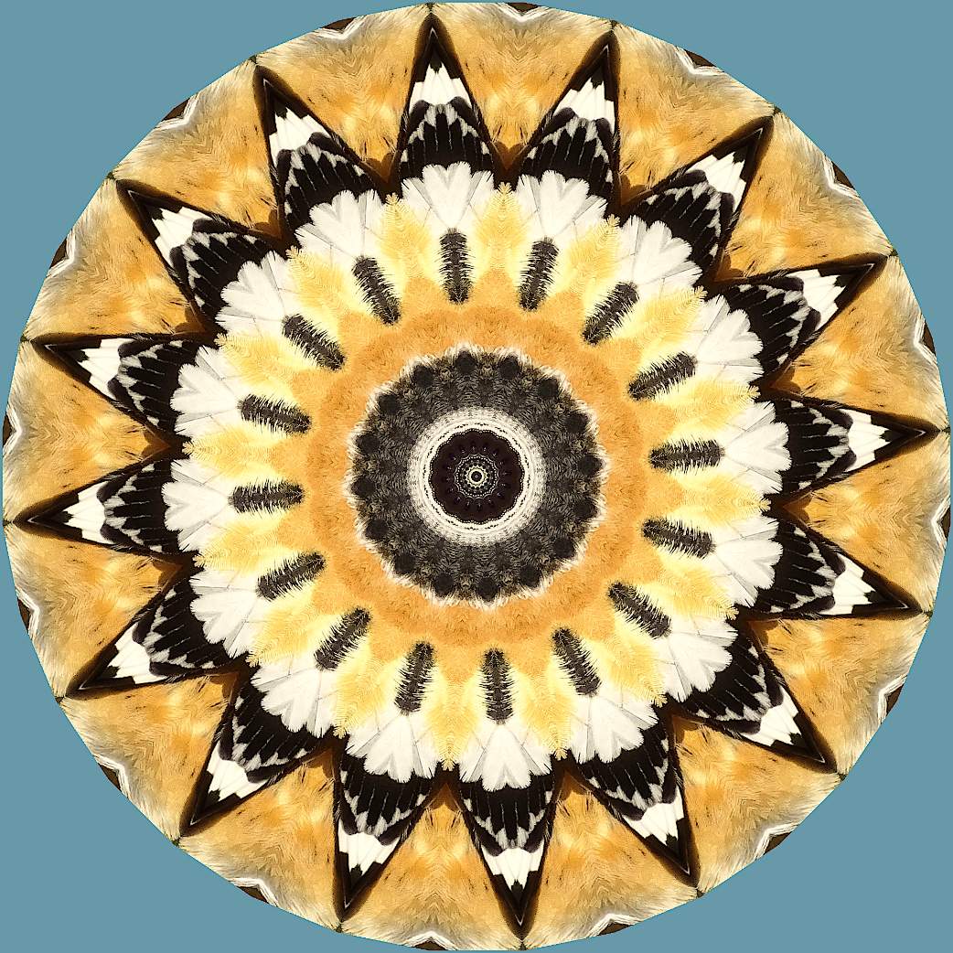 Solve #1 very small jigsaw puzzle online with 25 pieces