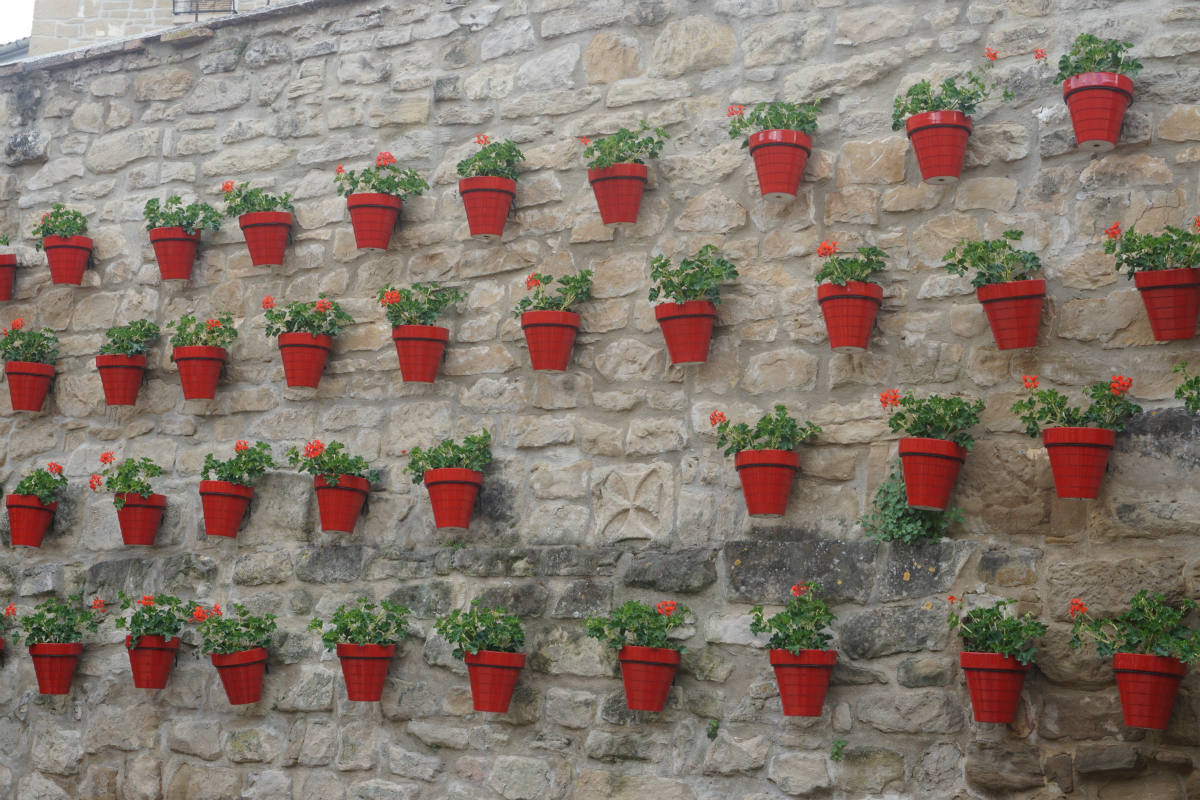 Solve Geranium Wall jigsaw puzzle online with 70 pieces